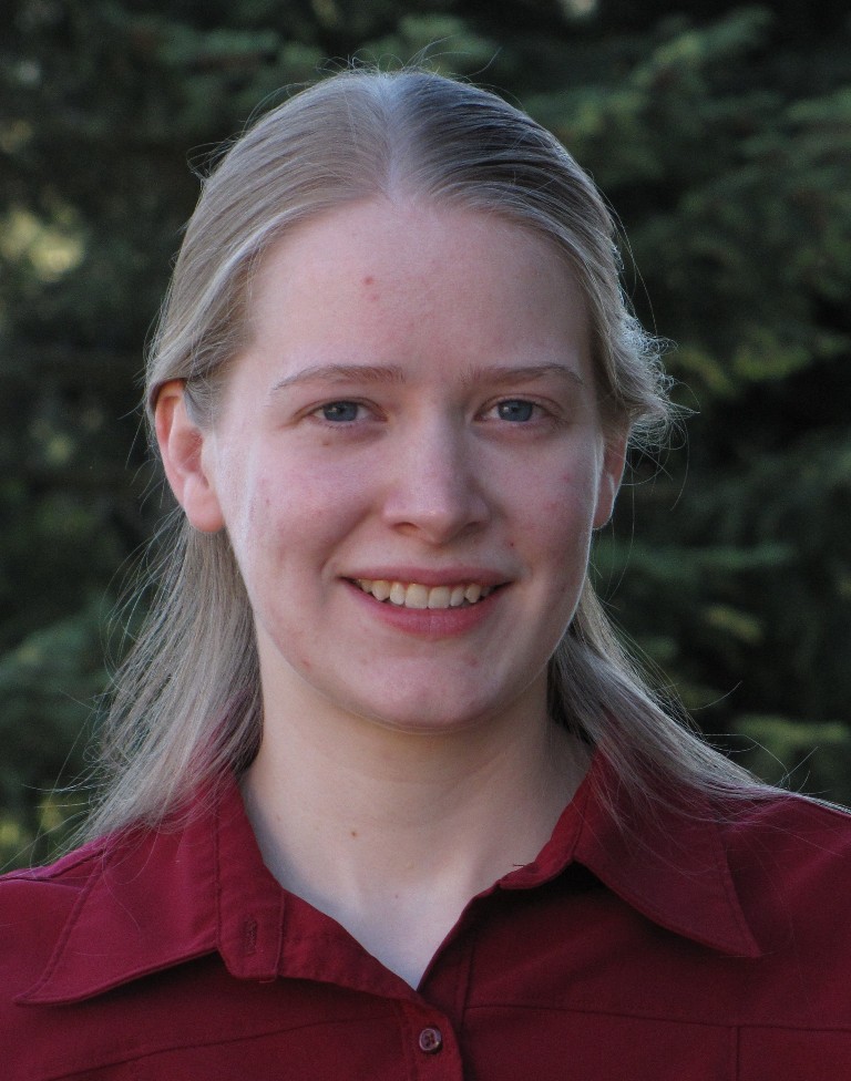 Elections 2010: Who Decides?